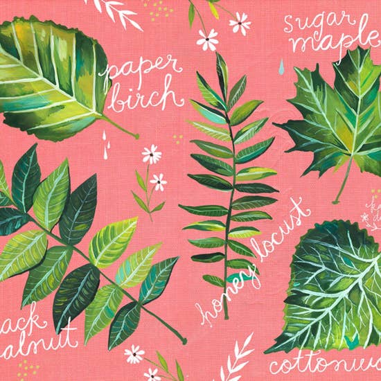 Leaf Chart Print Art Print